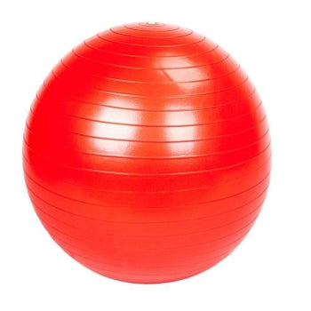 Exercise Ball 90 cm – GENTREX INTERNATIONAL MEDICAL SUPPLIES PTY LTD